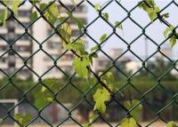 China 2.4m Height Green 60x60mm Metal Border Fence Plain Pvc Coated Chain Link for sale