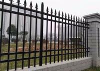 China Powder Coated Black Ornamental 8ft Tubular Steel Fence for sale