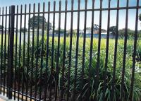 China 2.4m X 2m Ornamental Picket Fence Powder Coated Top Spear for sale