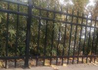 China 45x45mm Garrison Wrought Iron Picket Fence Powder Coated Black for sale