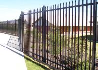 China 8ft Length 6ft Height Small Metal Picket Fence for sale