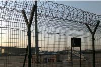 China 50*100mm Metal Mesh Fences 2.0m High Square Y Post Bent Curve for sale