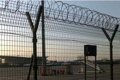 China 50*100mm Metal Mesh Fences 2.0m High Square Y Post Bent Curve for sale