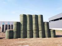 China Army Using 5.0mm Hesco Defensive Barriers Green Geotextile Military Sand Wall for sale