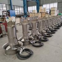 China Corrosion Resistant Submersible Mixer Dual Mechanical Seals for Sewage Treatment for sale