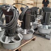 China Corrosion Resistant Submersible Mixer Dual Mechanical Seals for Sewage Treatment for sale