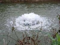 China Plastic Float Spring Aerator Higher Aeration Efficiency For Landscape Lake Purification for sale