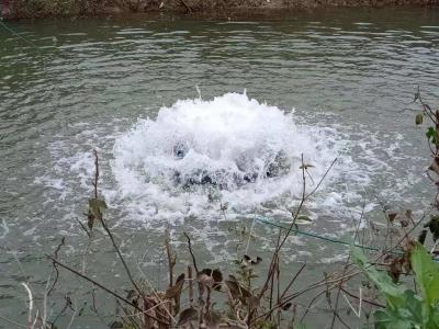 China Plastic Float Spring Aerator Higher Aeration Efficiency For Landscape Lake Purification for sale