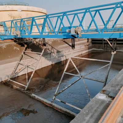 China TGN Series Traveling Lifting Rake Mud Scraper For Sludge And Scum Removal for sale