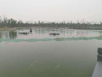 China Intelligent Solar-Powered Floating Aerator with >30% Oxygen Conversion for Remote Reservoir Water Treatment for sale