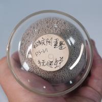 China 1.6-1.8 Mm CCR Alumina Carrier For Long Term Industrial for sale