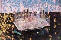 China Pink Glitter Bottom Clear Plastic Makeup Organizer for sale