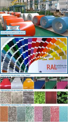 China PVDF Color Coated Aluminum Coil 1060 3003 3004 5052 0.5mm Thickness for sale