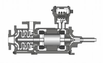 China Industrial Single Stage And Multistage Pumps Can Motor Pump 200m3 H for sale