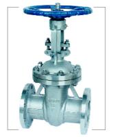 China Cast Iron Flanged Gate Valve Flanged Ends Anti Corrosion Valve DN15-1000mm for sale