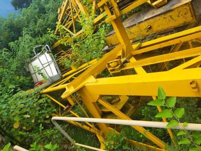 China Car Type Moving 2012 Used Tower Crane Mc200 with 10t Max Load and Maximum Lifting Weight for sale