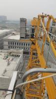 China Installation Assembled Zoomlion Used Tower Cranes Wa6015-8A for Your Business Needs for sale