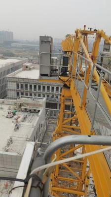 China Installation Assembled Zoomlion Used Tower Cranes Wa6015-8A for Your Business Needs for sale