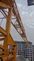 China 22 Years of Zoomlion Tower Cranes Maximum Lifting Height 50-100m and 7-20 Working Days for sale