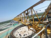 China Year of 20 Original Used Tower Crane with 6t Max Load and 65m Max Jib Length at Good for sale