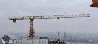 China 15-Year Xg 8033-25 Tower Crane Inventory Assembled and for Your Construction Project for sale