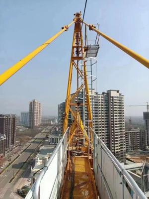 China Used Botham 6024-10 Tower Crane 2014 Model with 60m Jib Length and 10t Load Capacity for sale