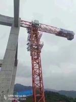 China Zoomlion Flat Head Tower Crane with 18 Years of Experience Easy to Dismantle and Sell for sale