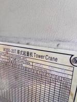 China Zoomlion Tower Crane 20 Ton Lifting Capacity and Design with ISO9001 Certification for sale