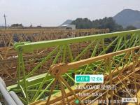 China 7-20 Working Days Delivery GS Certified Tower Crane from Zoomlion Xc Mg and Other Brands for sale