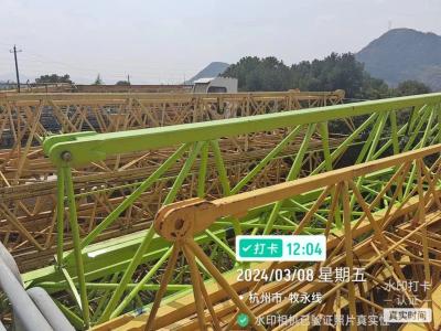 China 7-20 Working Days Delivery GS Certified Tower Crane from Zoomlion Xc Mg and Other Brands for sale