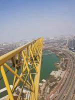 China Zoomlion Tower Crane 12 Ton for sale