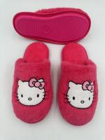 China Character Womens House Slippers Indoor Footwear Soft Warm Cozy Design for sale