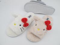 China Character Womens House Slippers Indoor Footwear Soft Warm Cozy Design for sale