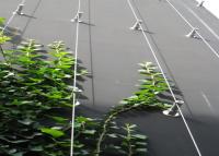 China 1.5mm Ferrule Rope Mesh Green Plant Climbing Trellis Wall 100*100mm For Garden for sale