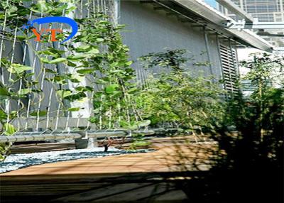 China 2.0mm SUS304 Stainless Steel Woven Wire Mesh Cable Netting 100x100mm For Plant Climbing for sale