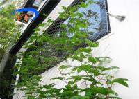 China 2.0mm SUS304 Stainless Steel Woven Wire Mesh Cable Netting 100x100mm For Plant Climbing for sale