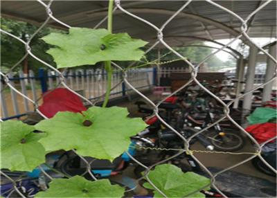 China Ferrule Wire Rope Plant Trellis 25x25mm 1.2mm Garden Wire For Climbing Plants for sale