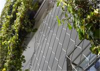 China 100*100mm Stainless Steel Rope Mesh Green Wall 1mm Garden Mesh Climbing Plant Support for sale