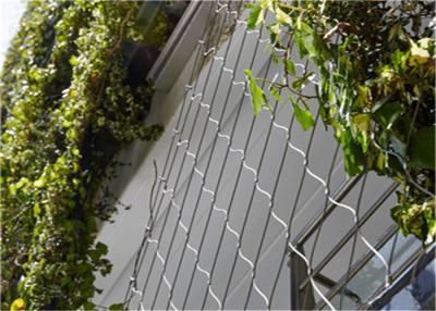 China 80mm*80mm Stainless Steel Rope Mesh Handmade 316L Garden Netting For Climbing Plants for sale