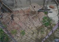 China Knotted 304 Zoo Animal Cages 2.0mm Stainless Steel Net Enclosure 25mm Wire Mesh for sale