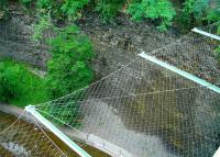 China 100*100mm Stainless Steel Rope Mesh Green Wall 1mm Garden Mesh Climbing Plant Support for sale