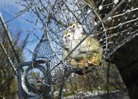 China Oem Odm Stainless Steel Ferrule Rope Mesh In Animal Enclosure And Bird Cages for sale