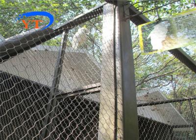 China 2.0mm Stainless Steel Rope Mesh Flexible Protection Safety Net Balustrade Cable Webnet for sale