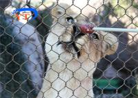 China Flexible Handwoven 2.4mm Stainless Steel Knotted Rope Mesh In Zoo Netting for sale