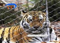 China 304 316 Ss Rope Mesh Tiger Cage Black Oxide For Zoo Enclosure for sale