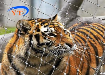 China Durable 60x60mm Aviary Wire Mesh 7x7 304 316 SS Woven Wire Mesh for sale