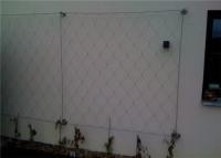 China Inox  Reo Mesh Climbing Plants 304 316 Stainless Steel Wire Mesh 150x150mm for sale
