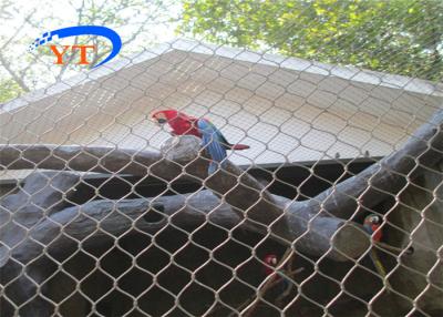 China SS304 316 Aviary Wire Mesh Versatile Cable Bird Netting Mesh for sale