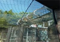 China 25x25mm Zoo Aviary Wire Mesh Soft X Tend Ss304 Woven Stainless Steel Wire Rope 1.2mm for sale