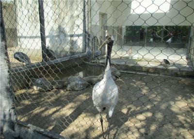 China AISI 304 Custom Built Bird Aviary Enclosure Stainless Steel Rope Mesh 30x30mm For Zoo for sale